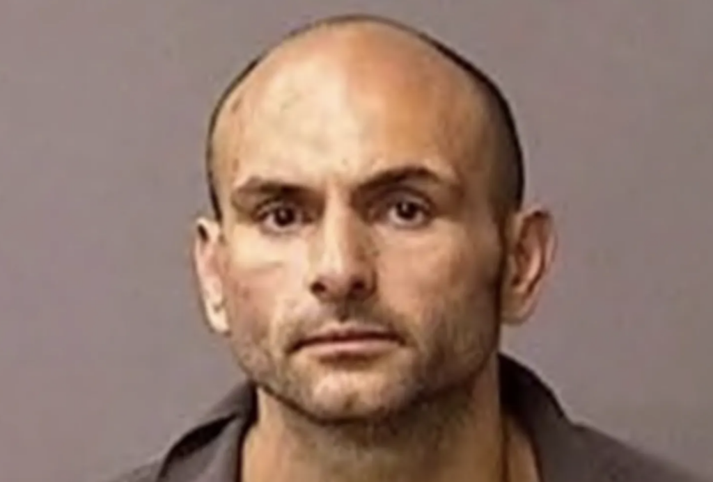 California parents capture sex offender standing in 5-year-old girl’s ...
